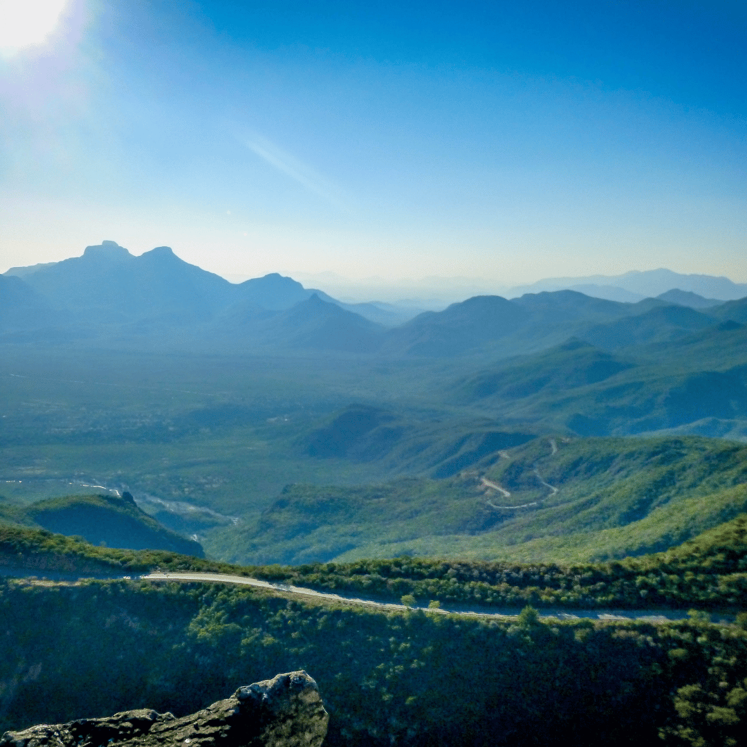 El Café de Angola: Un Tesoro Africano con Sabor Único - Cafés Guayacán